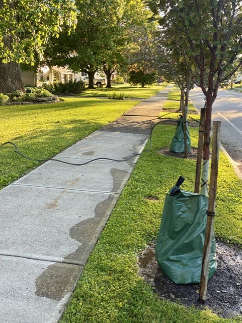 News from the City of Fairview Park