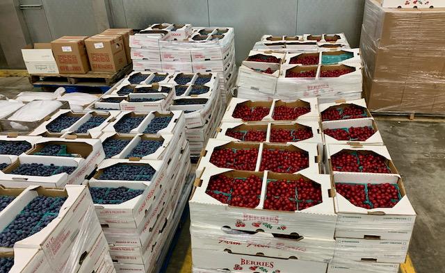 Sour Cherry orders, Red Raspberry Sale, White Peaches