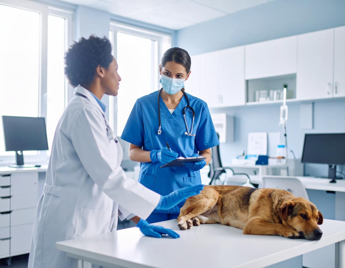 These animals never had rabies…but were killed anyway