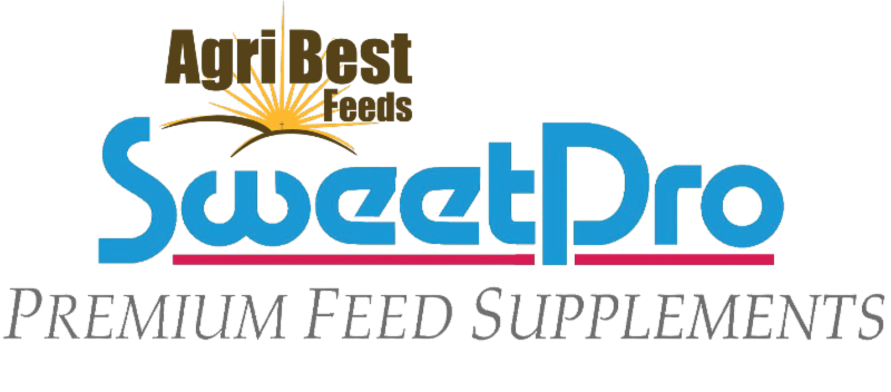 2022 MATE Show Grand Prizes