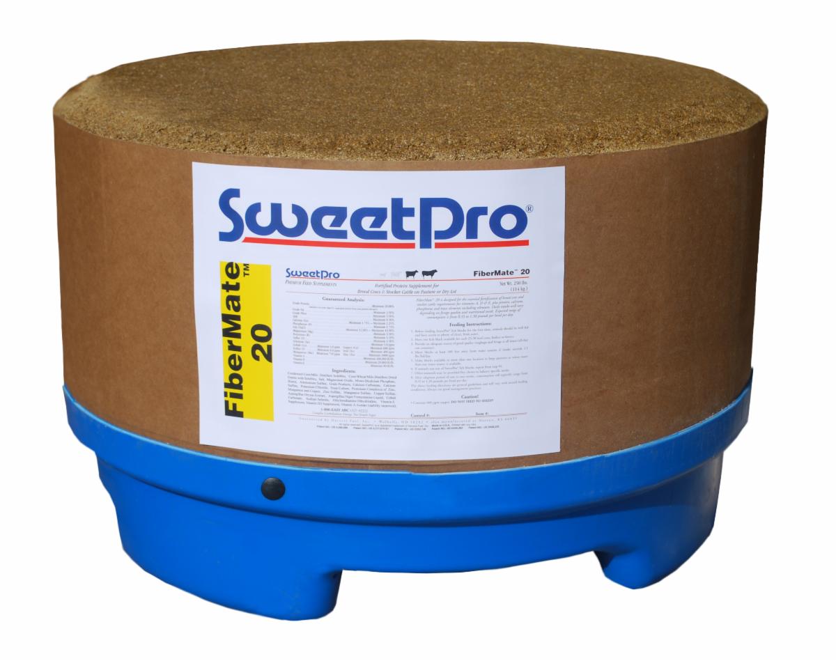 Record Attendance at the 2020 MATE Show!