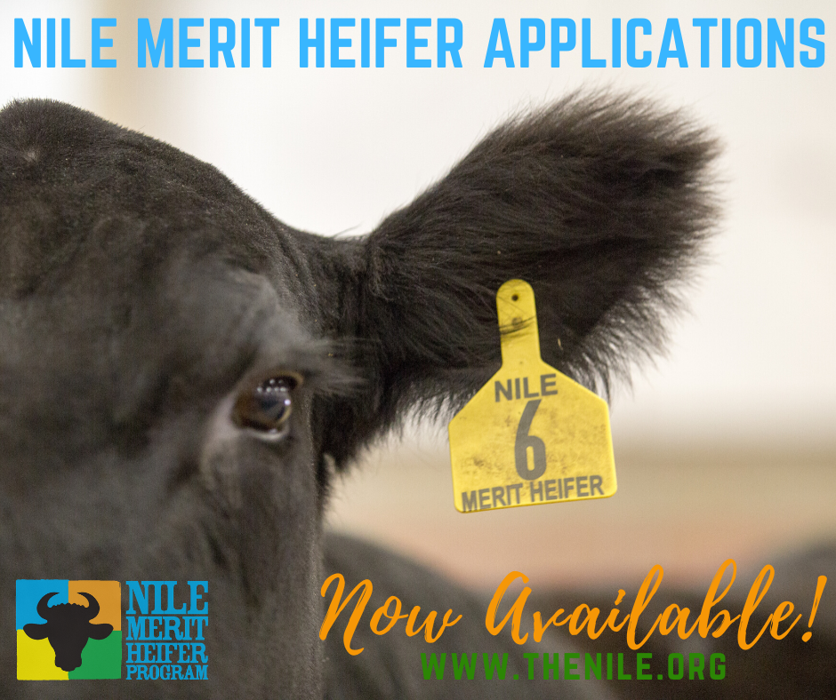 2021 NILE Merit Heifer Program