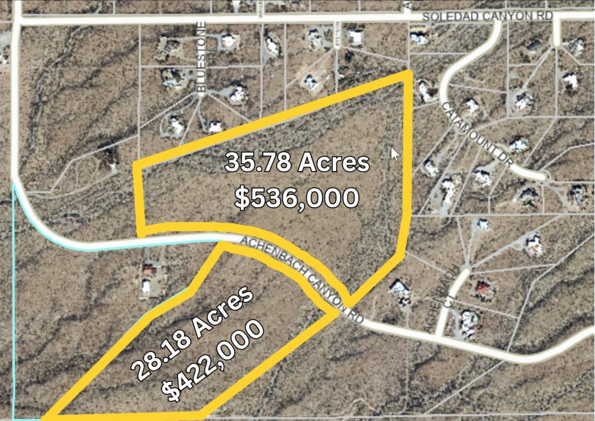 Need A Lot(s)? August 2025 Newsletter.