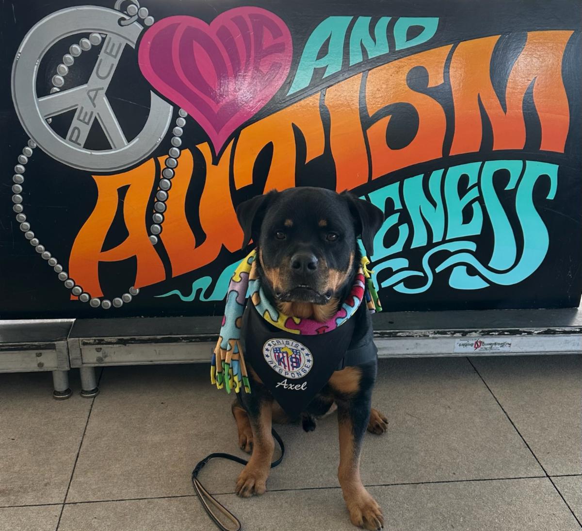 Sign Up Today and Join us for the 2024 Mike's Seafood Run/Walk for Autism!