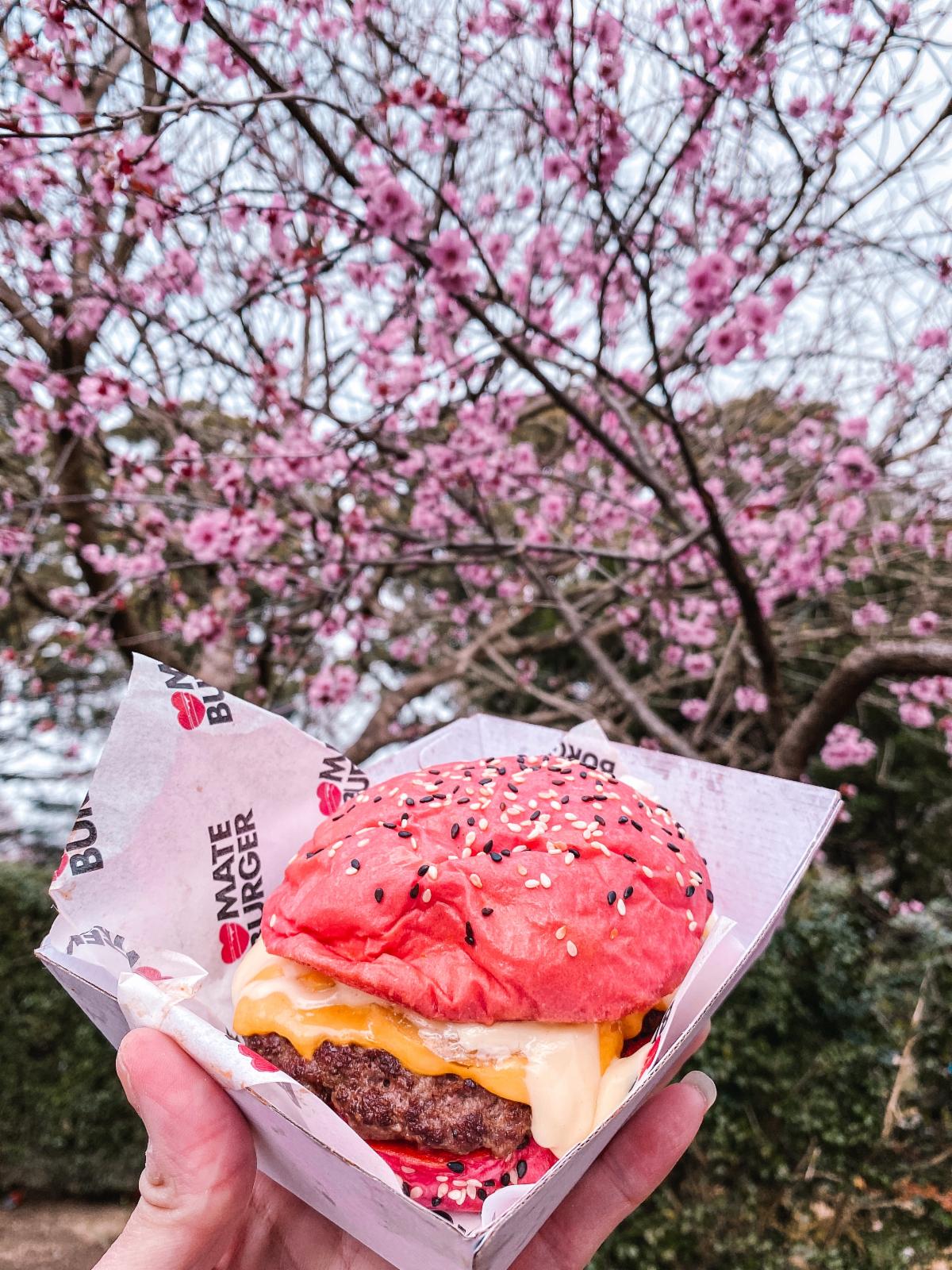 Sydney Cherry Blossom Festival