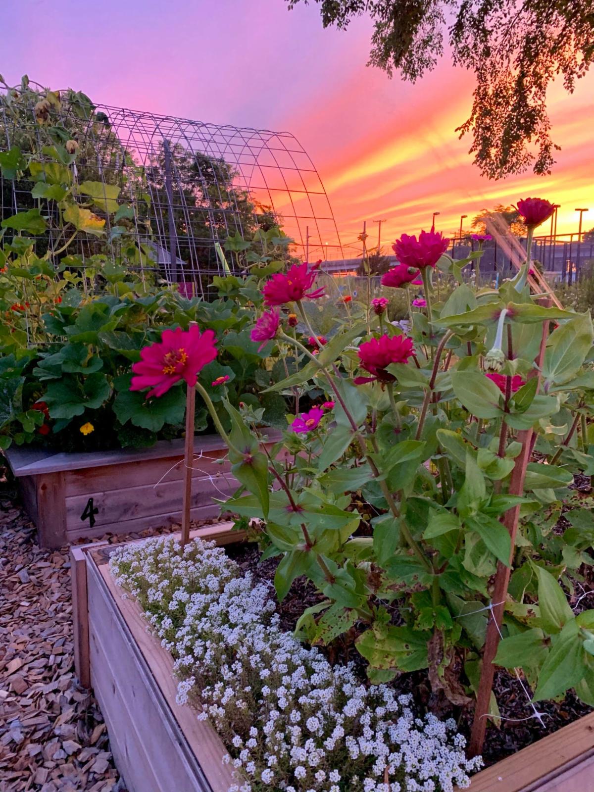 SGC February 2024 Newsletter