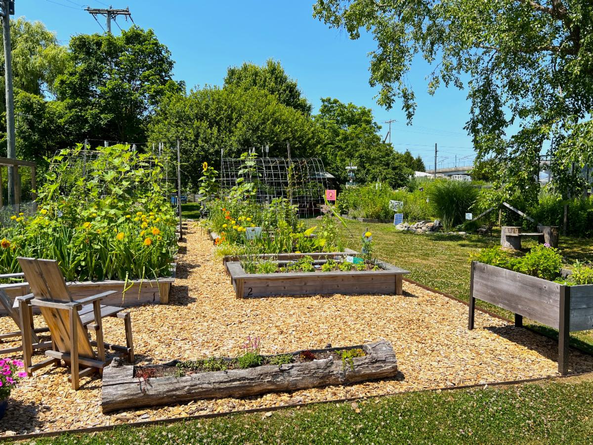 SGC March 2024 Newsletter