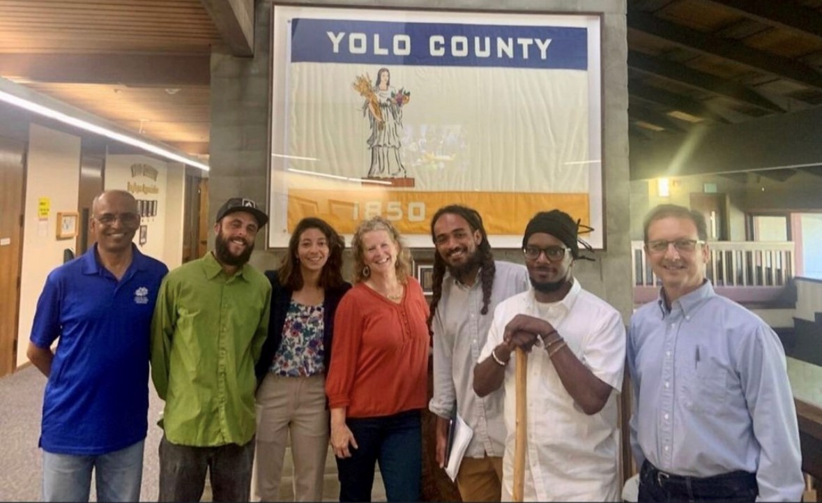 District 4 Newsletter: Mace Blvd Update, Advance Peace Funding, Yolo ...