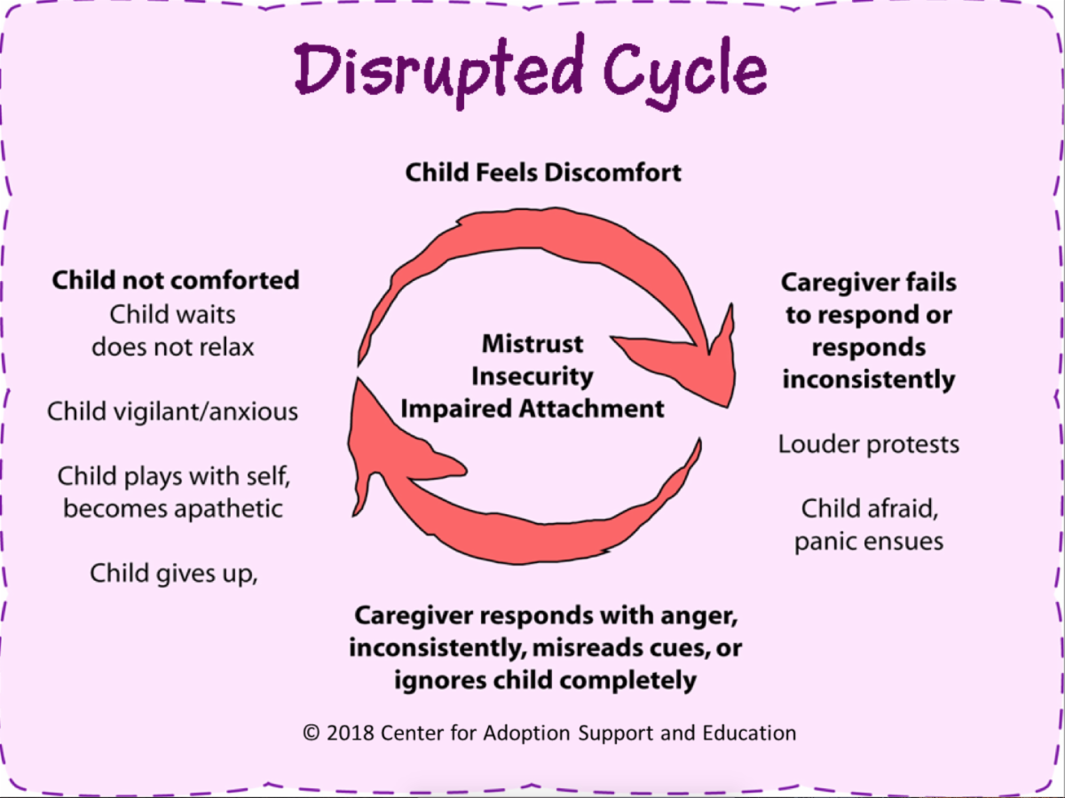 JFS Post Perm Newsletter: Attachment Edition