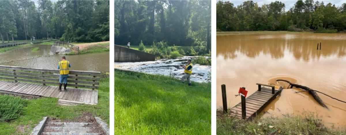 SCDES eNews | May Updates