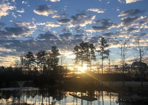 SCDES eNews | May Updates