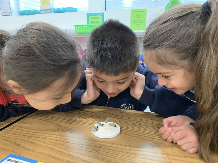 Take a look inside our Transitional Kindergarten Classroom!