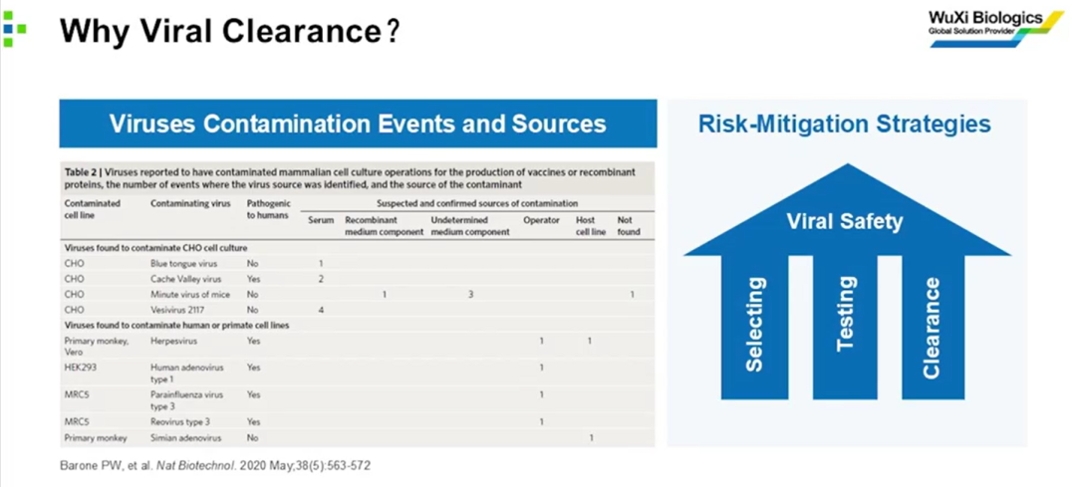 Webinar Recording Now Available: Ensure Successful Viral Clearance