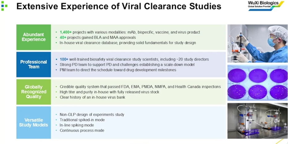 Webinar Recording Now Available: Ensure Successful Viral Clearance