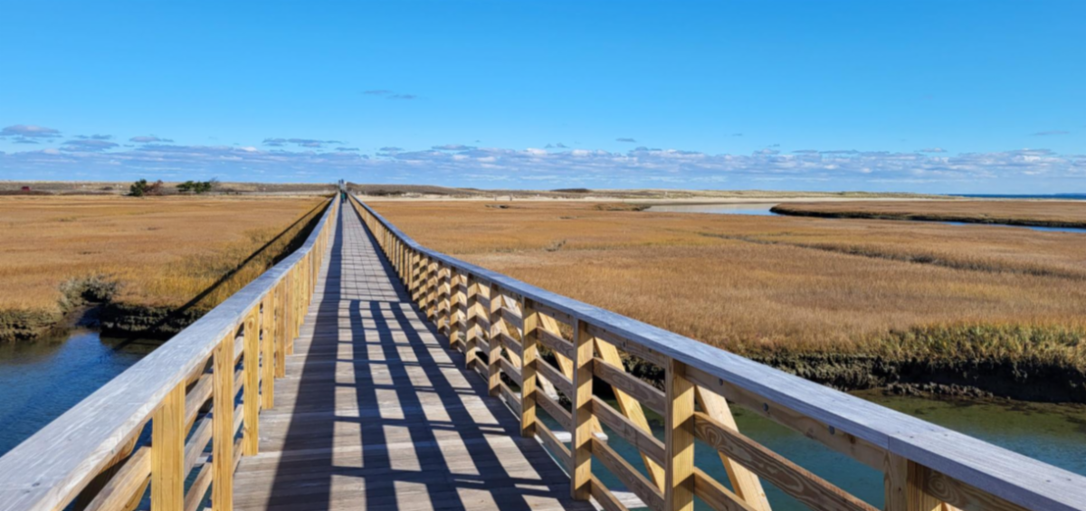 Cape Cod Chamber Member News & Events - November 19, 2025