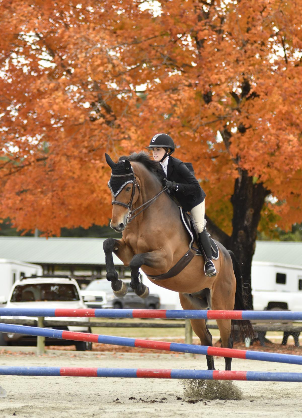 Local Show Information