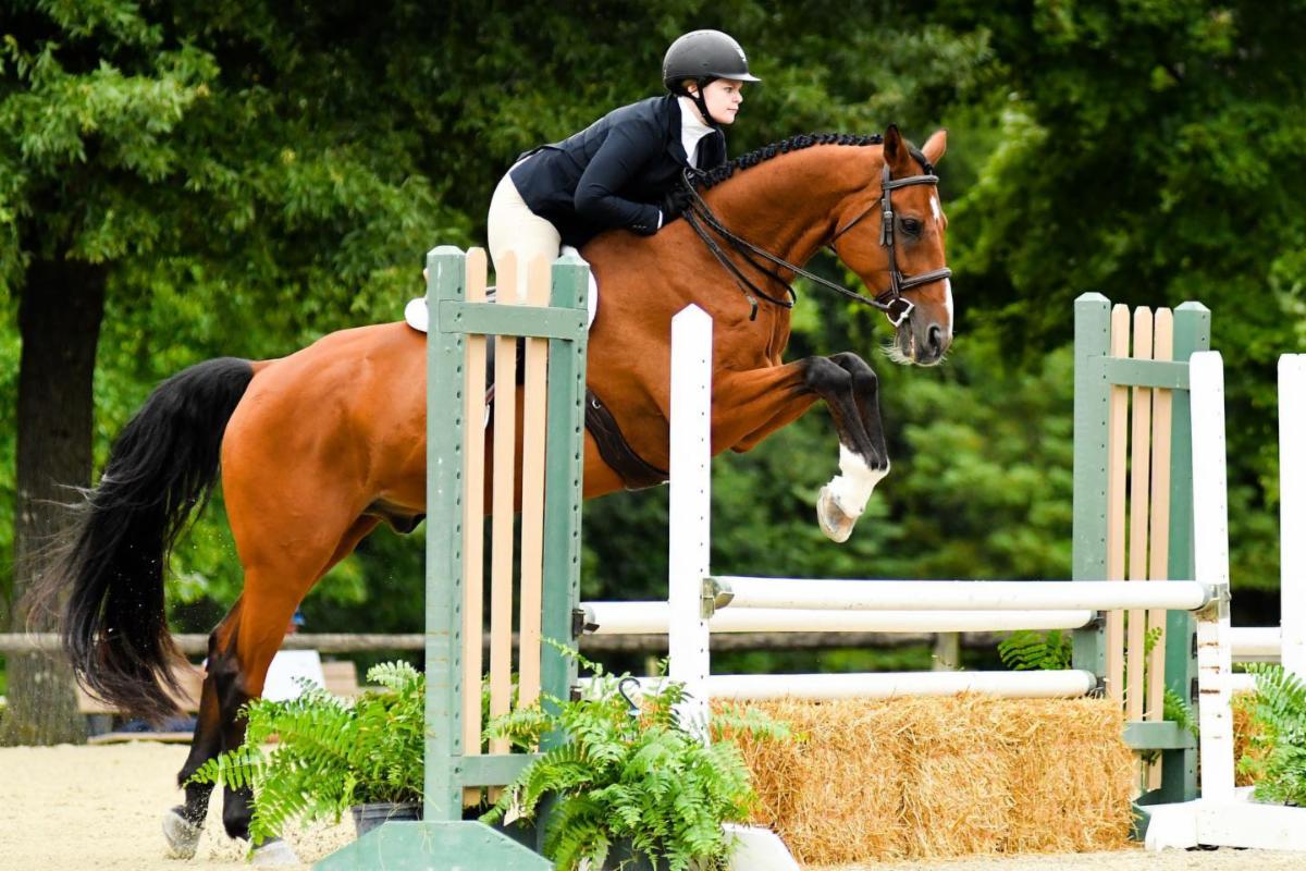 Local Show Information