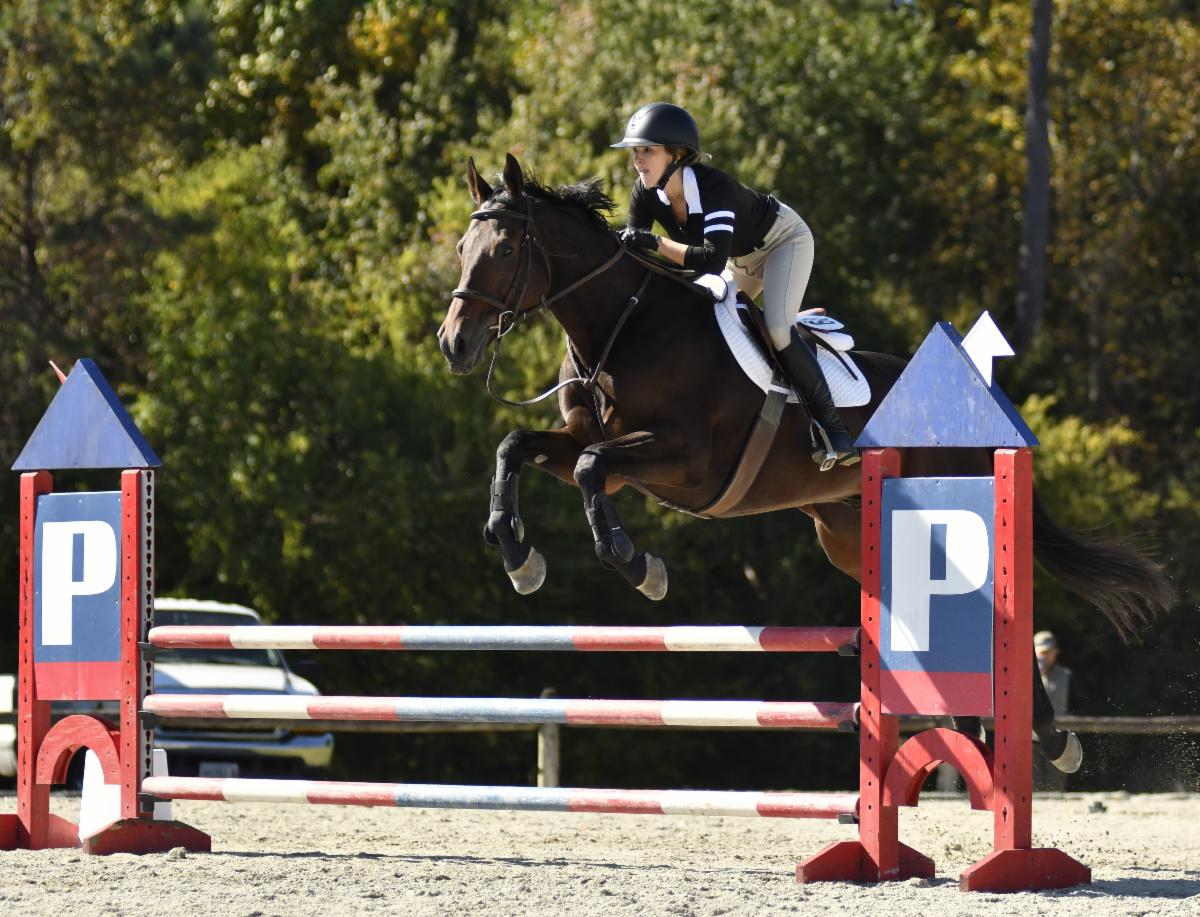 Local Show Information