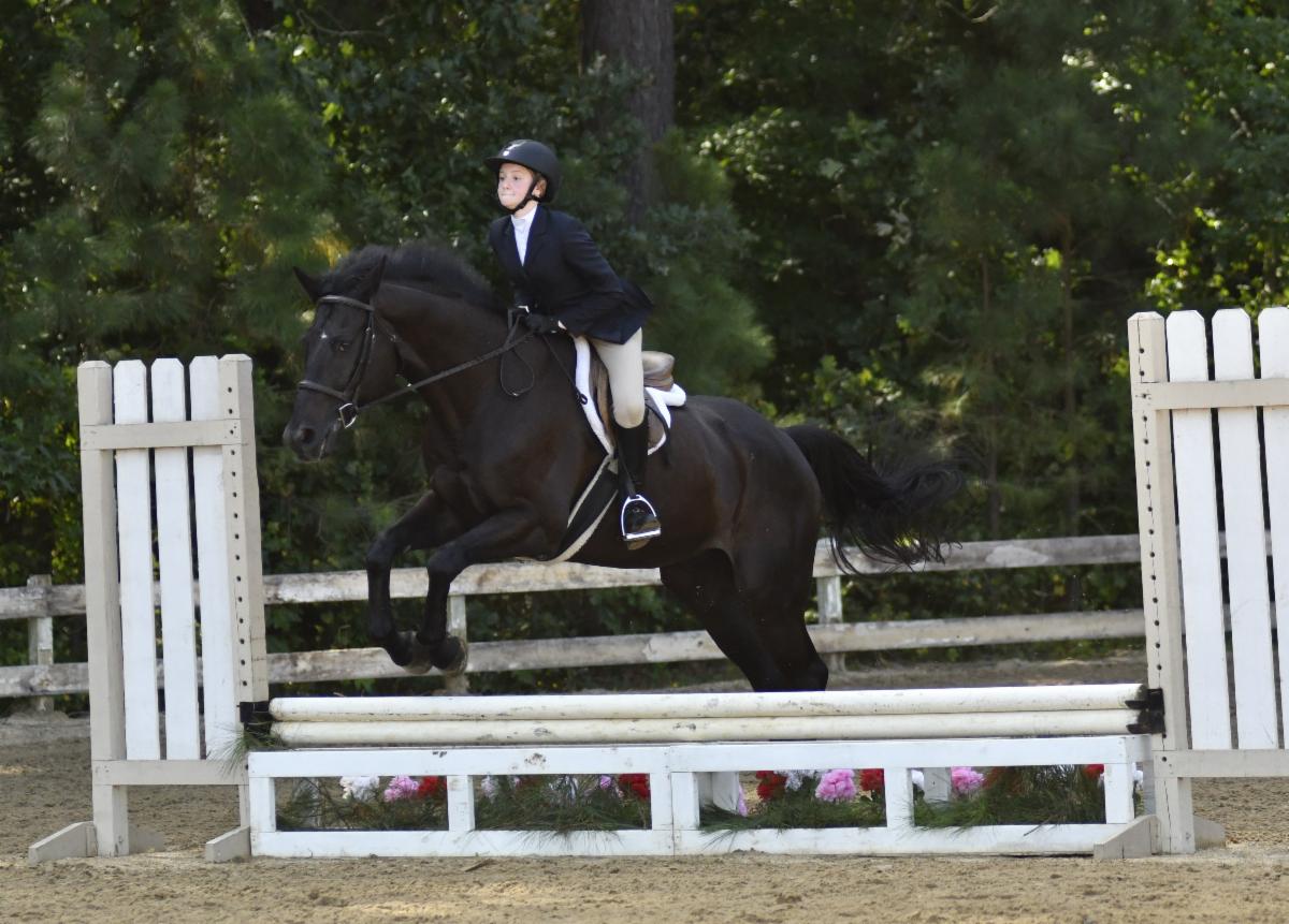 Local Show Information