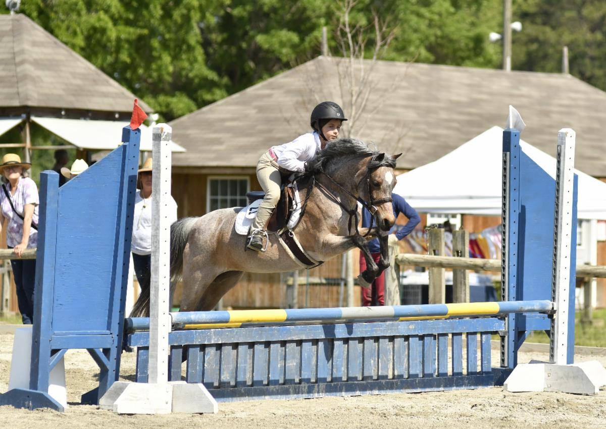 Local Show Information