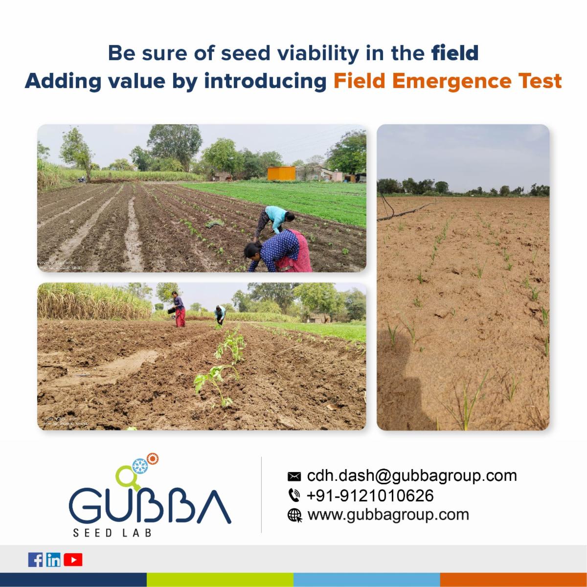 Gubba Seed e-News - Mosaic Commemorates 15-Year 'Krishi Jyoti' Project ...