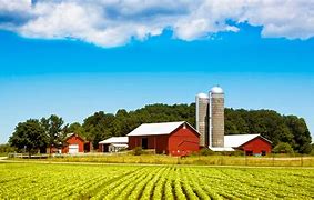 Visit Jason Brown Farm