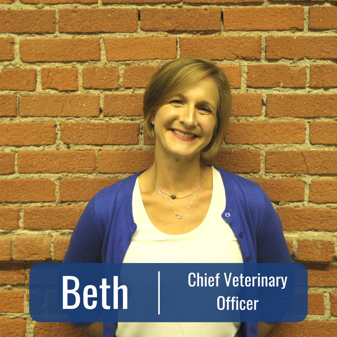 AAVSB Seeking comments on New Model Regulations