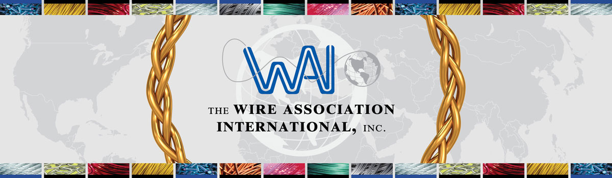2024 WAI Board of Directors Election