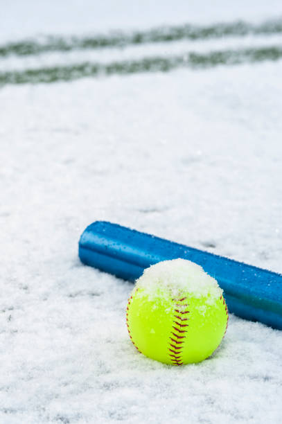Weekly Softball Winter Workouts