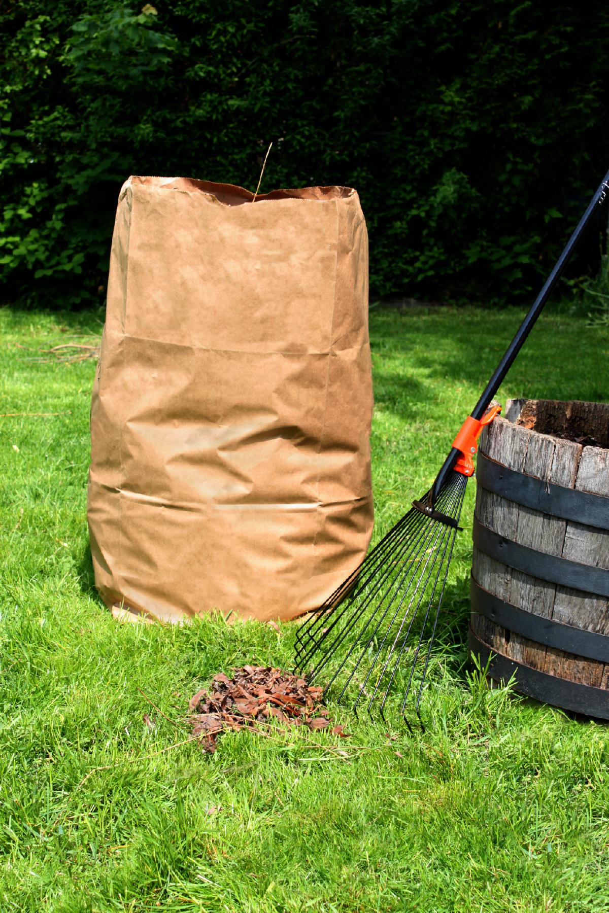 Yard Waste Pickup