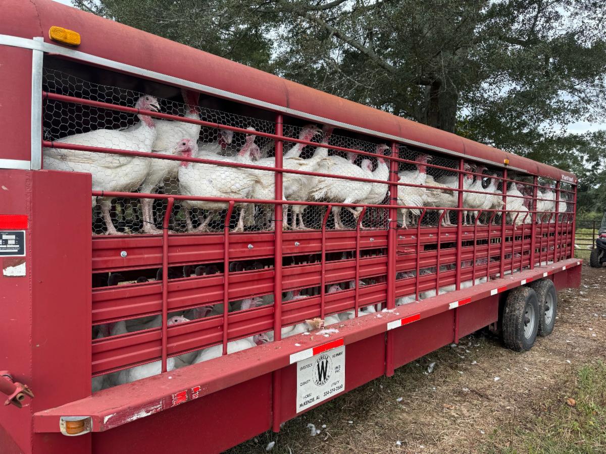 Carlton Farms Newsletter