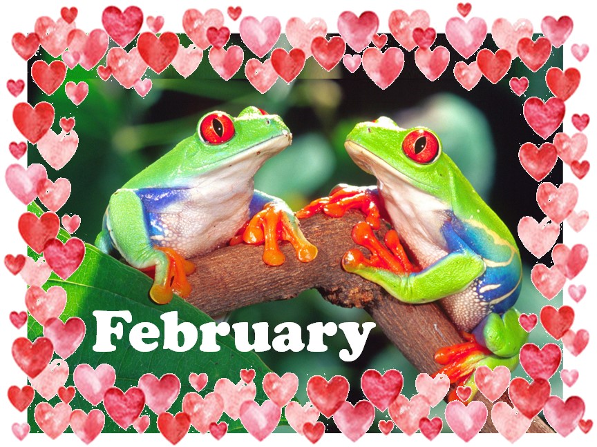 February Program & Support Group Reminders