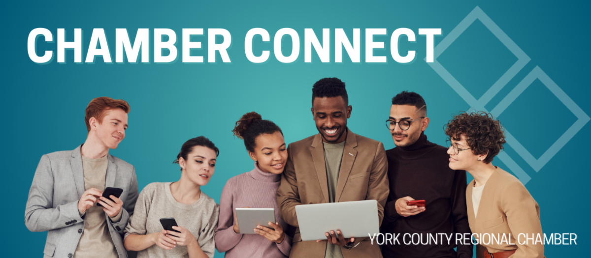 Chamber Connect: Your Source for Business Insights and Member News