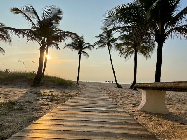 POA 1 Newsletter- Friday, December 3rd. 2021.