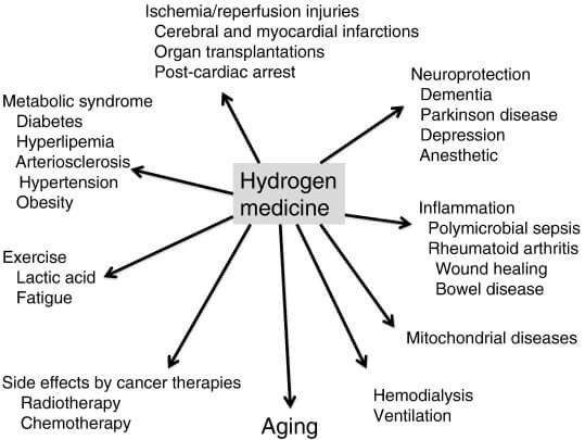 THE H2 MOLECULAR HYDROGEN MOVEMENT IS HERE