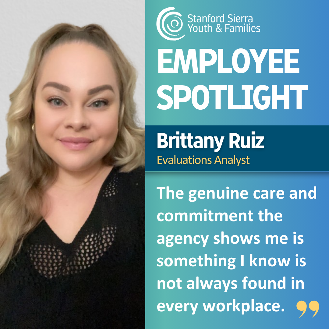 Employee News & Updates - December 2024