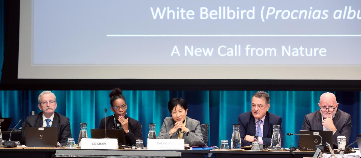 UNFCCC Adaptation Finance Bulletin (Issue 5, January 2020)