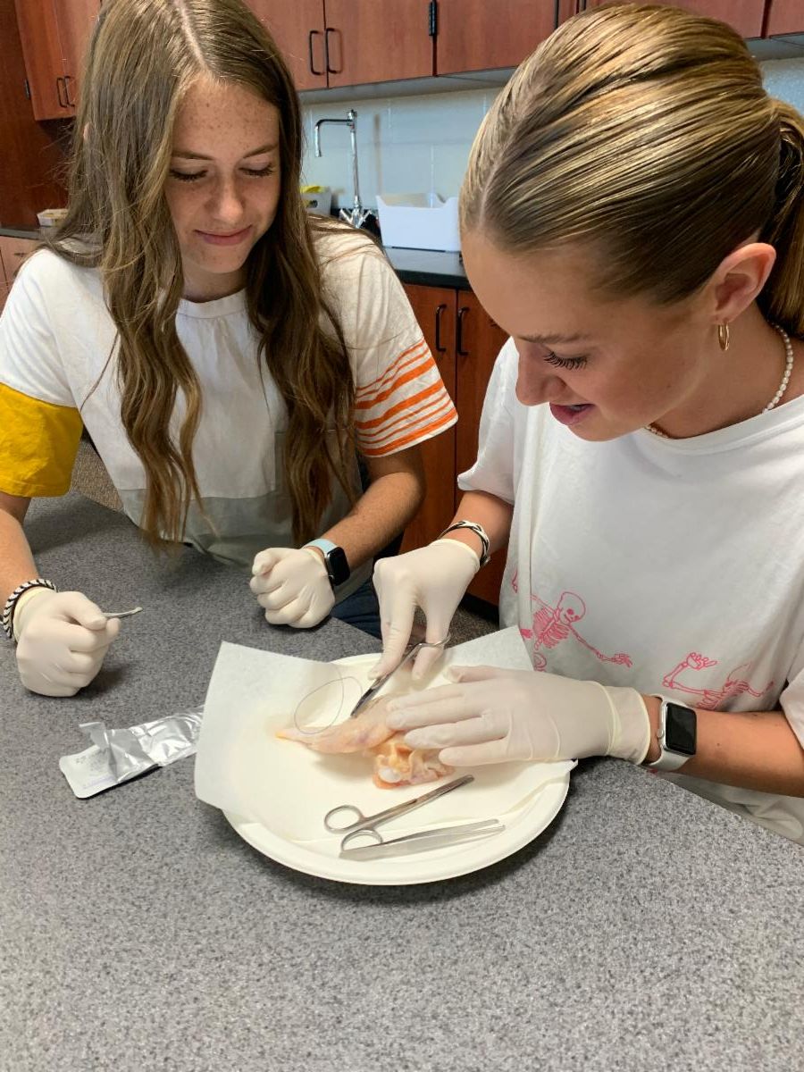 AFHS September 23 Newsletter