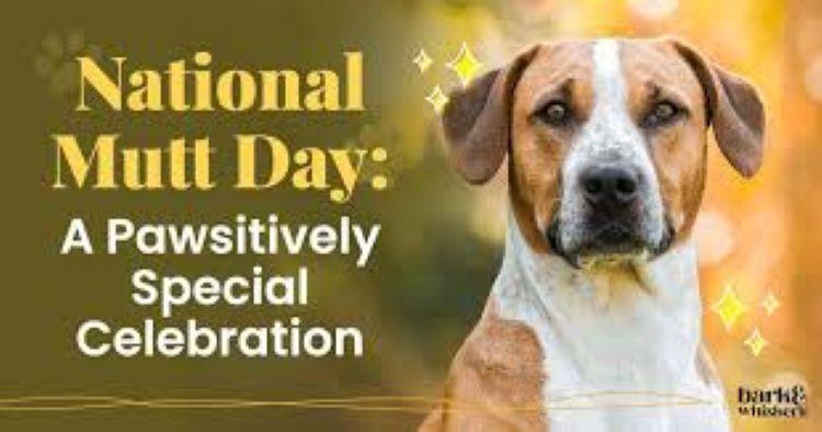Celebrating National Mutts Day