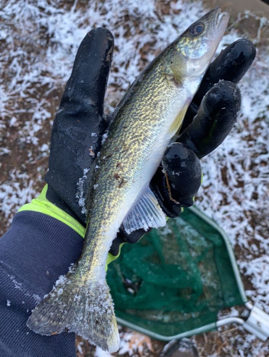 News From the Lac du Flambeau Band of Lake Superior Chippewa Indians