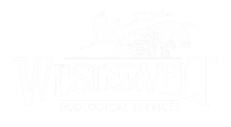 Keeping up with Conservation