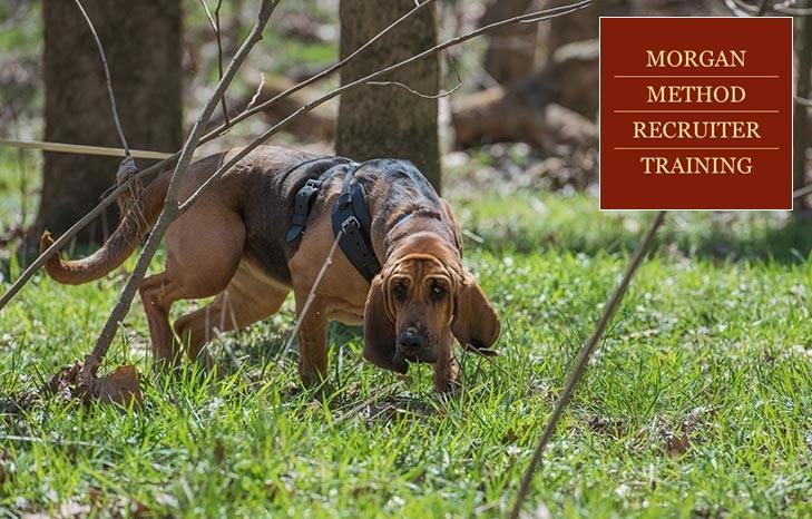 Sharpen teeth with the strongest recruiter trainer.