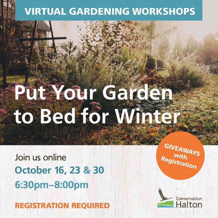 October 2024 News from Ward 6 Councillor Angelo Bentivegna