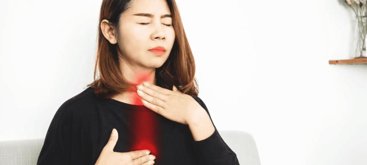 CDHF Monthly Digest for November!