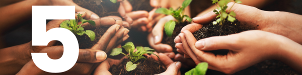 What's New Eastvale?