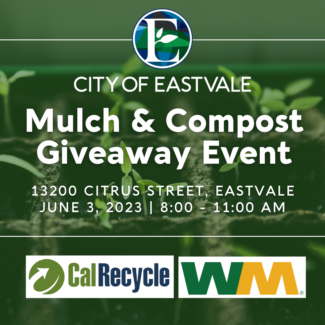 What's New Eastvale?