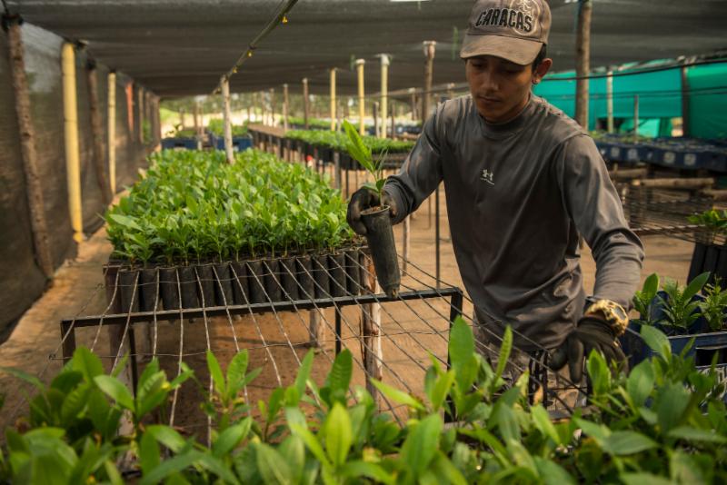 News from the Forest Carbon Partnership Facility and the BioCarbon Fund