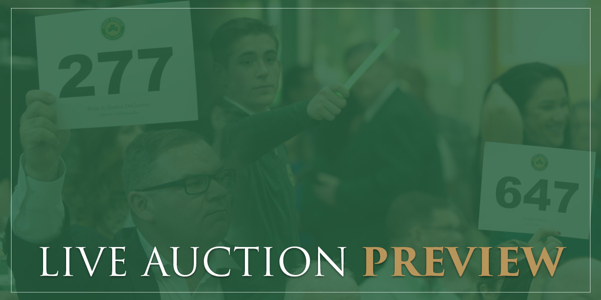 LIVE AUCTION PREVIEW!