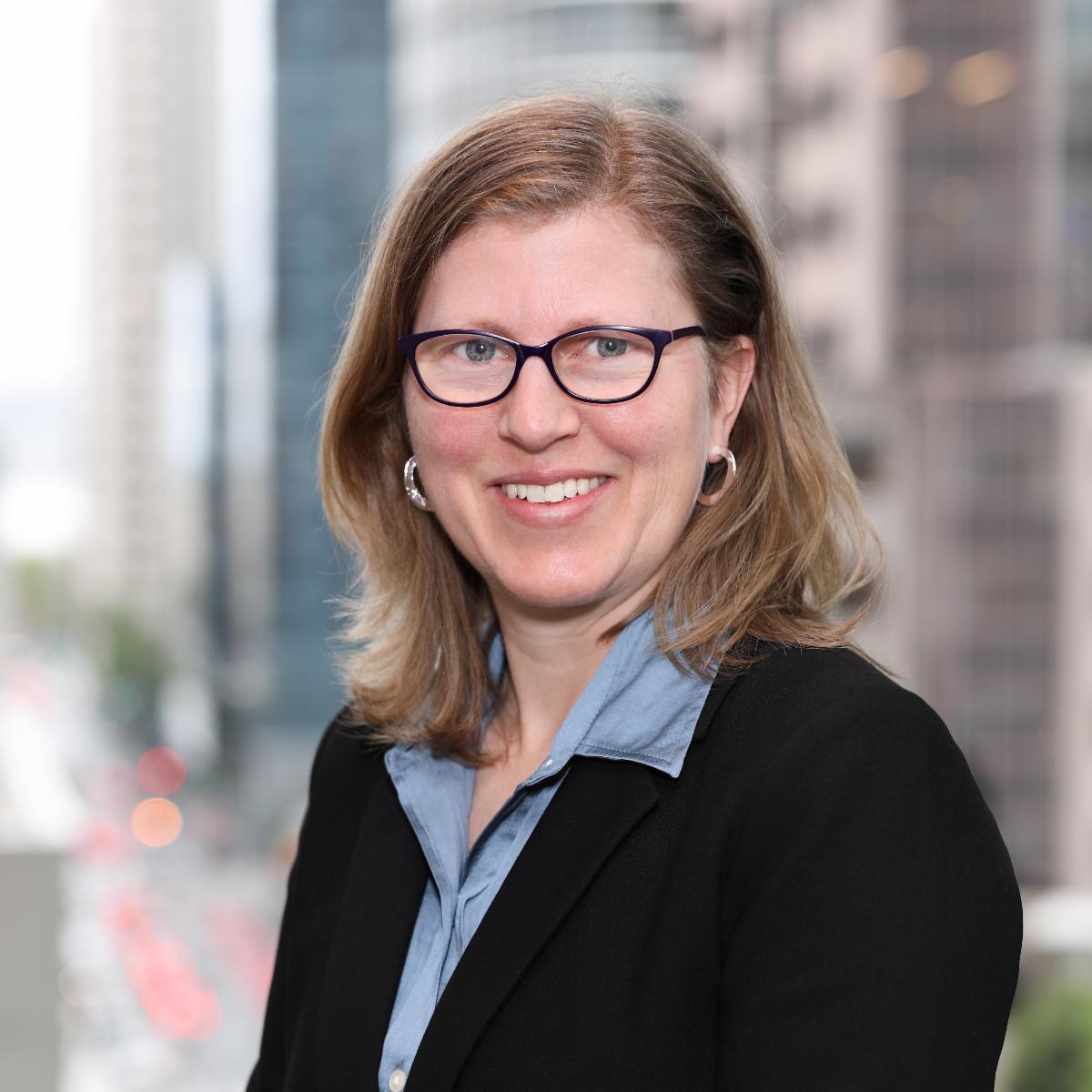 SFGI Geotechnical Diversity Panel