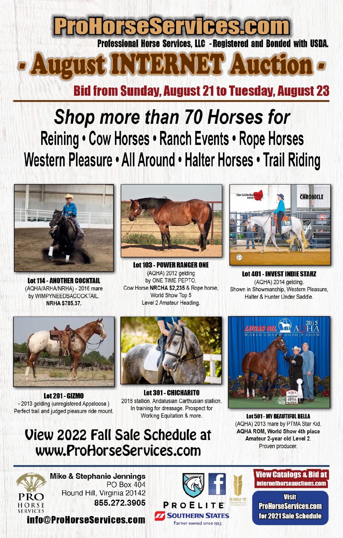 Bidding Opens August 21 for 70 Quality Horses